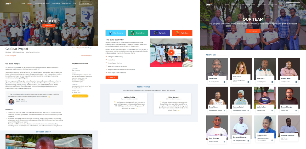 Sote Hub - Portfolio